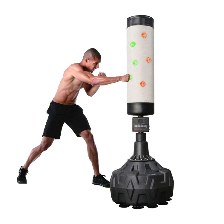 Smart Boxing Punching bag ProCircle Technology